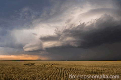 Field Kansas GIF - Find & Share on GIPHY