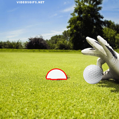 Catch the golf ball - VideosGifs.Net