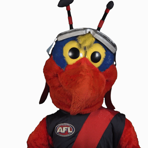 Aussie Rules Sport GIF by Essendon FC - Find & Share on GIPHY