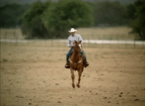 Country Music Horse GIF by George Strait - Find & Share on GIPHY