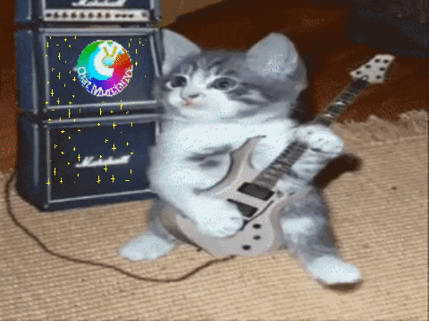 Musica Gatos GIF by murcianys - Find & Share on GIPHY