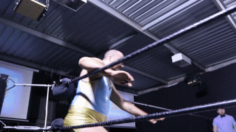 SHWA Wrestling GIF - Find & Share on GIPHY