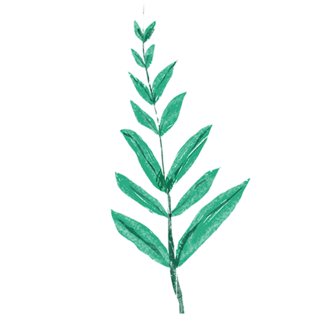 Leaf Fern Sticker by lineaorganica for iOS & Android | GIPHY