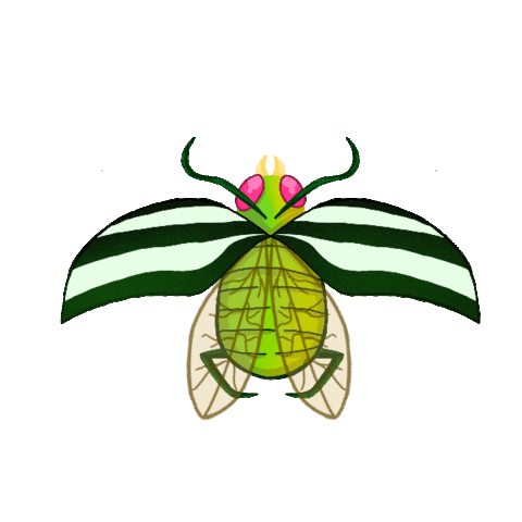Insect Sticker for iOS & Android | GIPHY