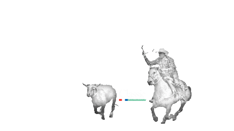 Rope Rodeo Sticker for iOS & Android | GIPHY