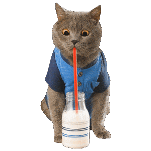 Prince Michael Drinking Sticker for iOS & Android | GIPHY