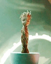 Groot GIF - Find & Share on GIPHY