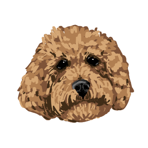 Dog Doodle Sticker by bloom daily planners for iOS & Android | GIPHY