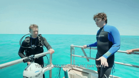Shark Week Immersion GIF by Shark Week - Find & Share on GIPHY