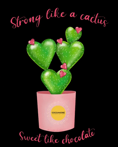 Heart Cactus GIF by CocoAndre Chocolatier - Find & Share on GIPHY