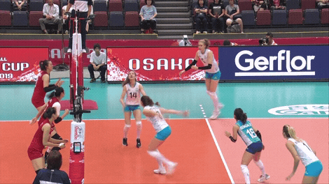 Joy Argentina GIF by Volleyball World - Find & Share on GIPHY