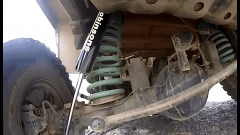 Usa Spring GIF by Dobinsons Latin America - Find & Share on GIPHY