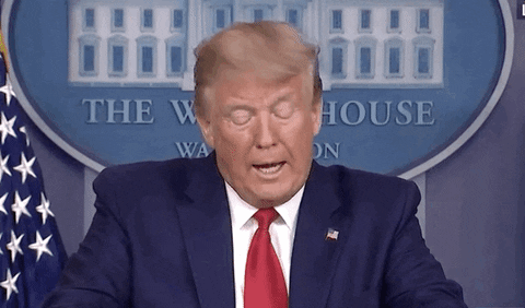 Donald Trump GIF - Find & Share on GIPHY