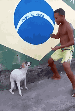Brazilian Dog Memes