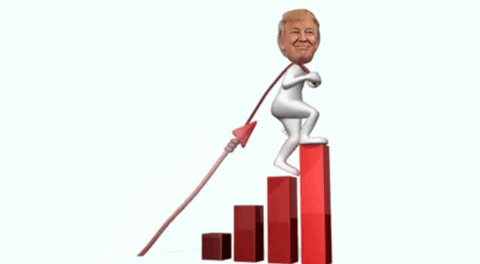 Trump Trade GIF by Public Citizen - Find & Share on GIPHY