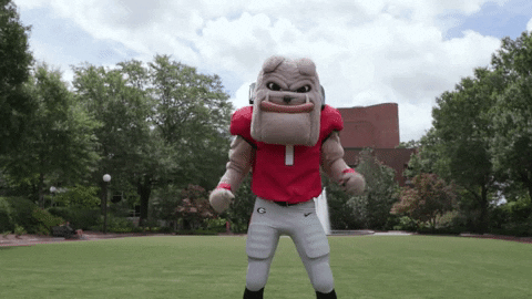 College Football GIF by University of Georgia - Find & Share on GIPHY