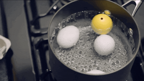 How To Egg GIF by The Container Store - Find & Share on GIPHY