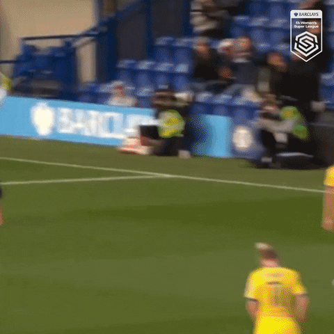Chelsea Kerr GIF by Barclays FAWSL - Find & Share on GIPHY