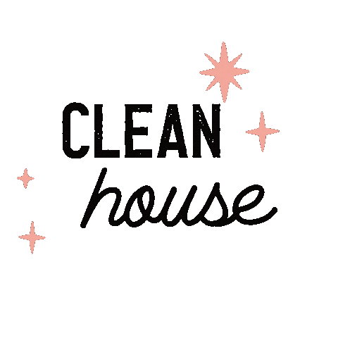 Clean House Sparkle Sticker by Retro Hip Co. for iOS & Android | GIPHY