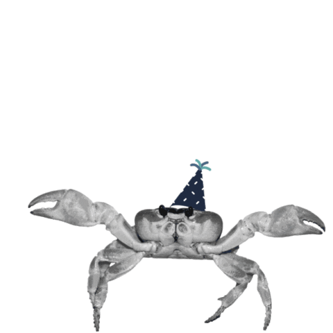 Crab Krebs Sticker by DEICHBRAND Festival for iOS & Android | GIPHY