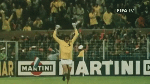 Happy World Cup GIF by FIFA - Find & Share on GIPHY