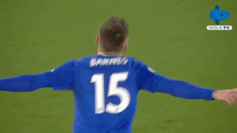 Premier League Football GIF by MolaTV - Find & Share on GIPHY