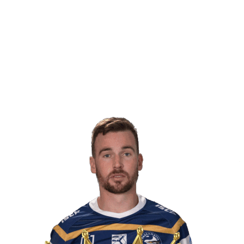 Parramatta Eels Sticker by NRL for iOS & Android | GIPHY
