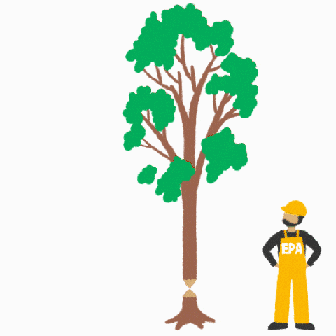 Tree Cutting GIF by INTO ACT!ON - Find & Share on GIPHY