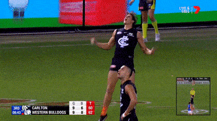AFL GIF - Find & Share on GIPHY