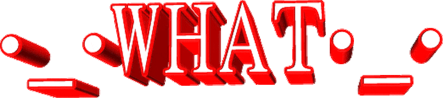 Text What Sticker by AnimatedText for iOS & Android | GIPHY