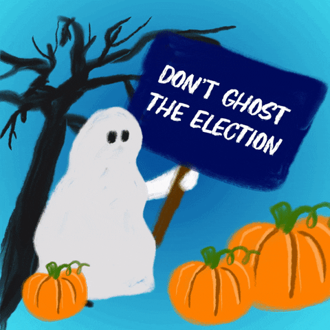 Voting Election 2020 GIF by INTO ACTION - Find & Share on GIPHY