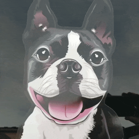Dog Waving GIF by WiperTags Wiper Covers - Find & Share on GIPHY