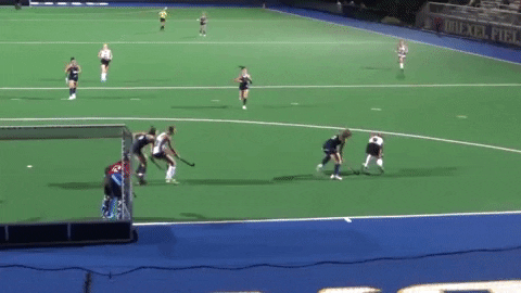 Field Hockey Goal GIF by Lafayette Leopards - Find & Share on GIPHY