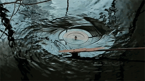 Liquid Find And Share On Giphy