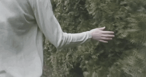 Contemplating Emma Stone GIF by Saturday Night Live - Find & Share on GIPHY