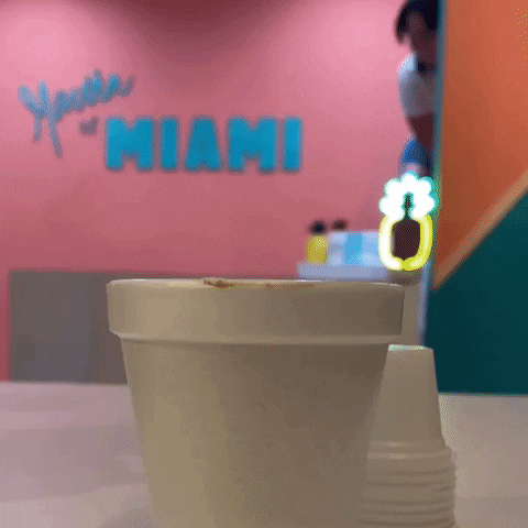 Cafe Break GIF by Martha of Miami - Find & Share on GIPHY