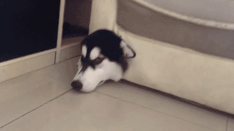 Stuck GIF - Find & Share on GIPHY