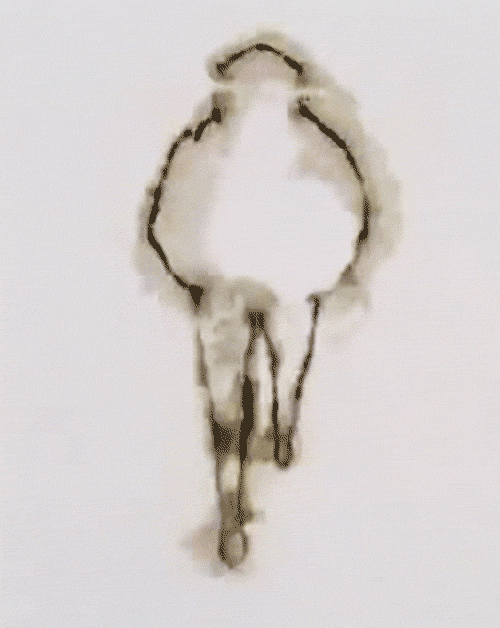 Ryan Larkin Animation GIF by hoppip - Find & Share on GIPHY