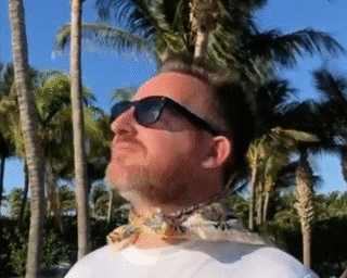 Switzerfilm GIF Find Share On GIPHY switzerfilm-gif-find-share-on-giphy