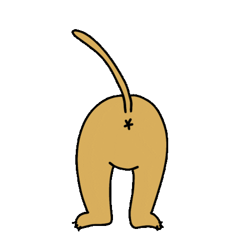 Happy Cat Tail Sticker for iOS & Android | GIPHY