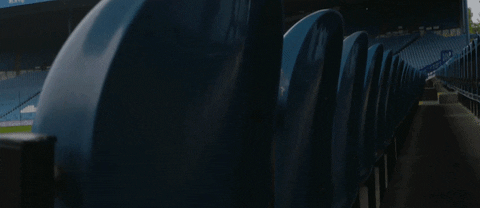 Goals Owls GIF by Sheffield Wednesday Football Club - Find & Share on GIPHY