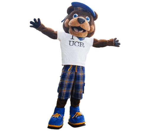 Celebrate Dancing Bear Sticker by UC Riverside for iOS & Android | GIPHY