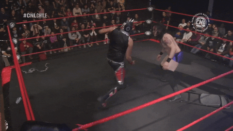 Fight Wrestling GIF by CNL Chile - Find & Share on GIPHY