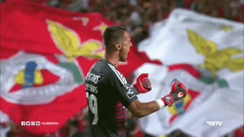 Happy Sl Benfica GIF by Sport Lisboa e Benfica - Find & Share on GIPHY