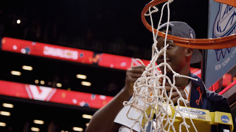 College Sports Ncaa GIF - Find & Share on GIPHY