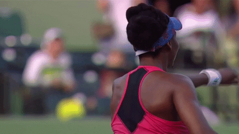 Venus Williams Sport GIF by Tennis Channel - Find & Share on GIPHY