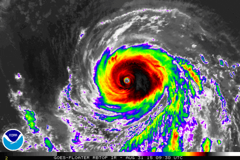 Hurricane GIF - Find & Share on GIPHY