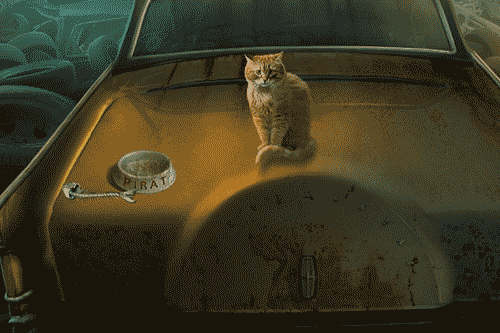 Cat Kitty Find And Share On Giphy 