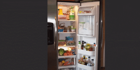 Fridge GIF - Find & Share on GIPHY
