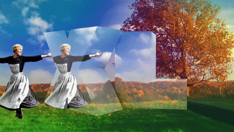 GIF by Bro Safari - Find & Share on GIPHY